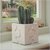 Decorative Planter - Decorative Planter Manufacturers, Suppliers & Dealers
