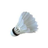 Shuttle Cock - Shuttle Cock Manufacturers, Suppliers & Dealers