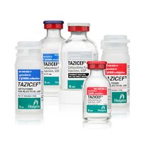 Ceftazidime - Ceftazidime Manufacturer, Supplier & Exporter